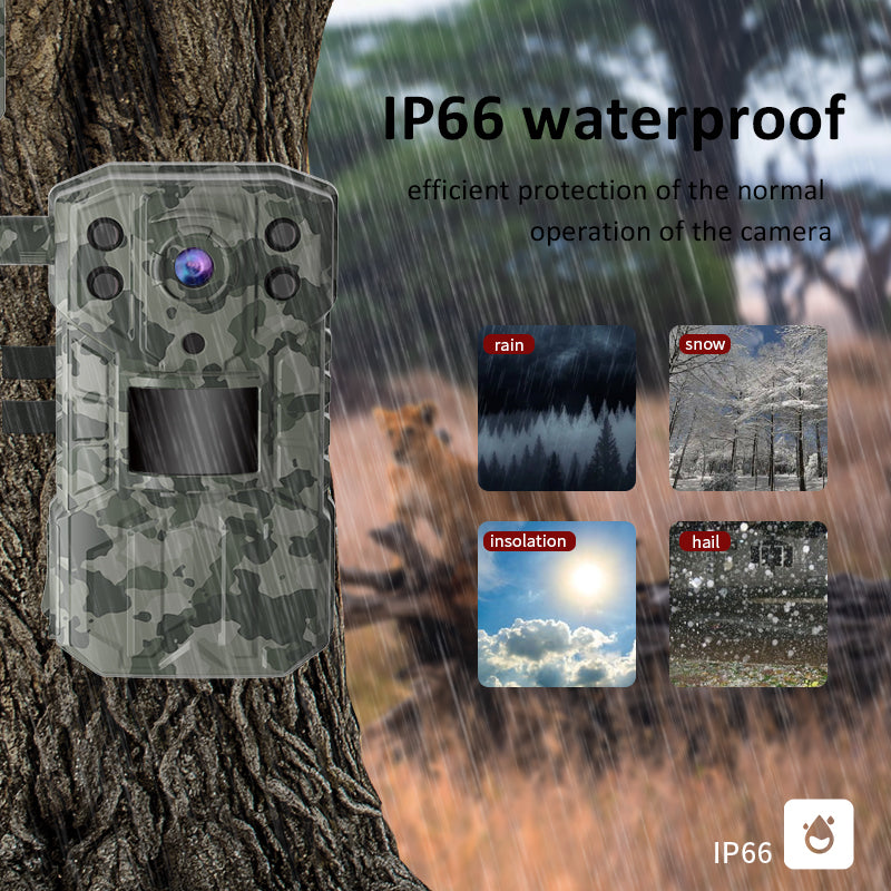 How Exactly do Game Cameras Store Your Photos and Videos? – MCCTV SECURITY