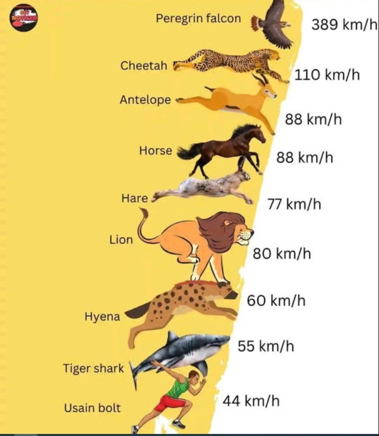 Bring on the learning revolution! – MCCTV SECURITY